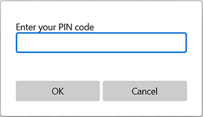 Mimaki Remote Access [Windows] | Checking and Setting PIN Code