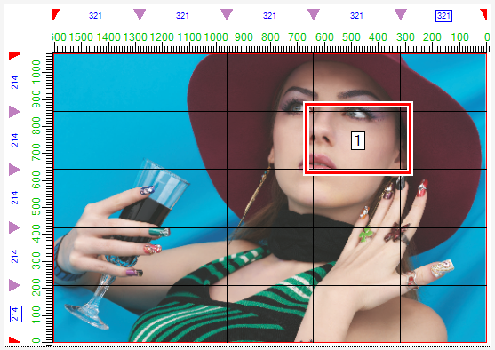 RasterLink7 [Ref] | Tiling - Operations